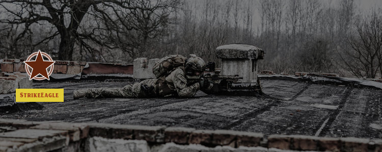 Placeit - Twitch Profile Banner Maker for FPS Gaming Streamers ...