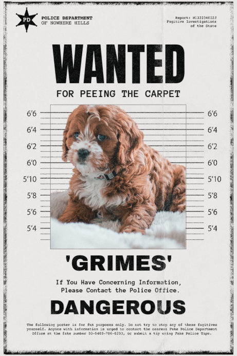 Wanted Poster | Design Templates | Placeit