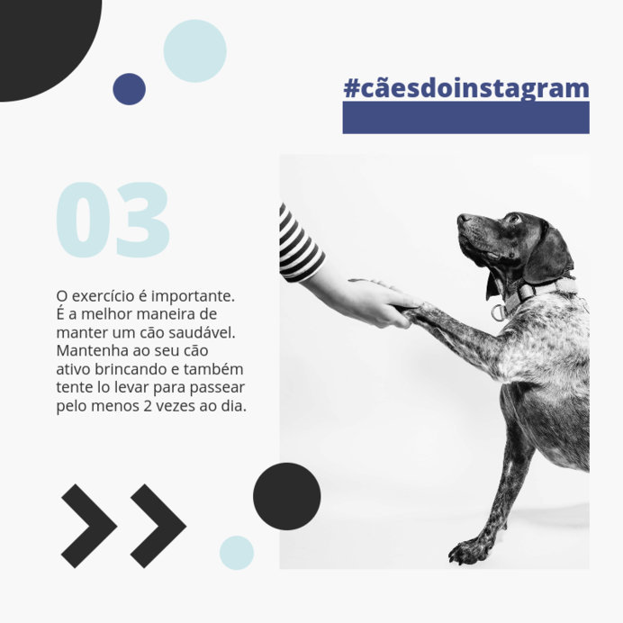 Placeit - Instagram Post Maker Featuring Fun Activities for Dog Owners