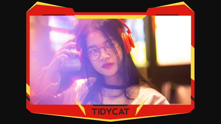 Placeit - Twitch Webcam Frame OBS Overlay Template Featuring a Modern ...