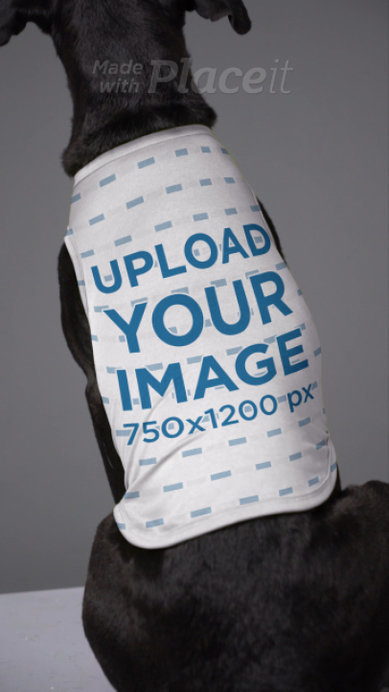 Pet Tank Top mockups | Placeit