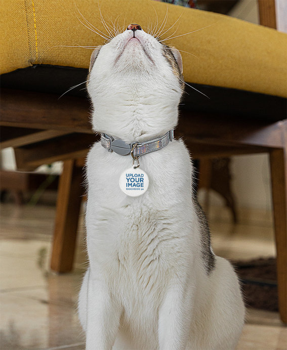 Placeit - Pet Tag Mockup Featuring a Cute Cat Looking Up