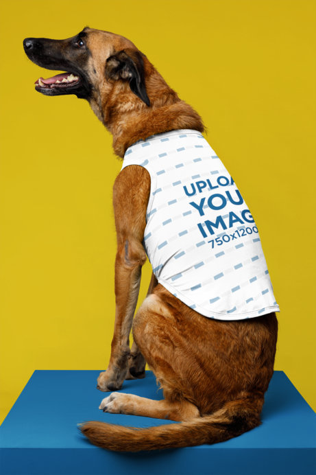 Placeit - Sublimated Pet Tank Top Mockup Featuring a Happy Dog at a Studio