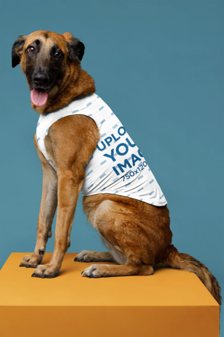 Placeit - Pet Tank Top Mockup Featuring a Cute Dog in a Studio