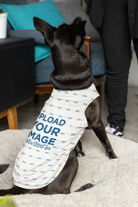 Placeit - Sublimated Pet Tank Top Mockup of a Dog Sitting at Home
