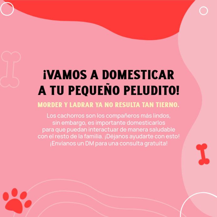 Placeit - Instagram Post Template for a Pet Training Service