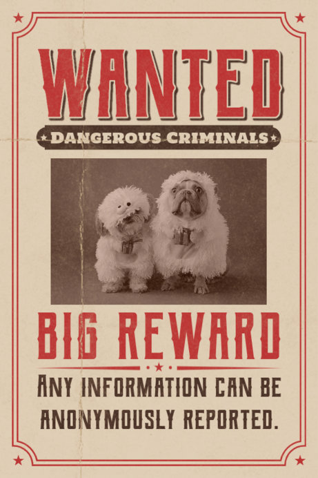 Wanted Poster | Design Templates | Placeit