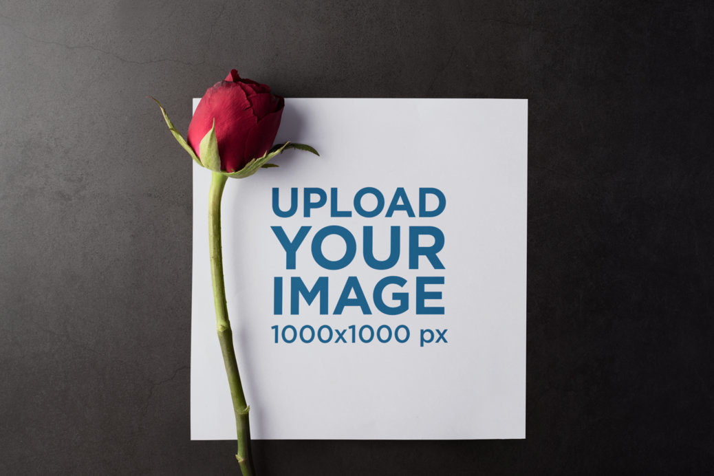 Placeit - Flyer Mockup Featuring a Red Rose