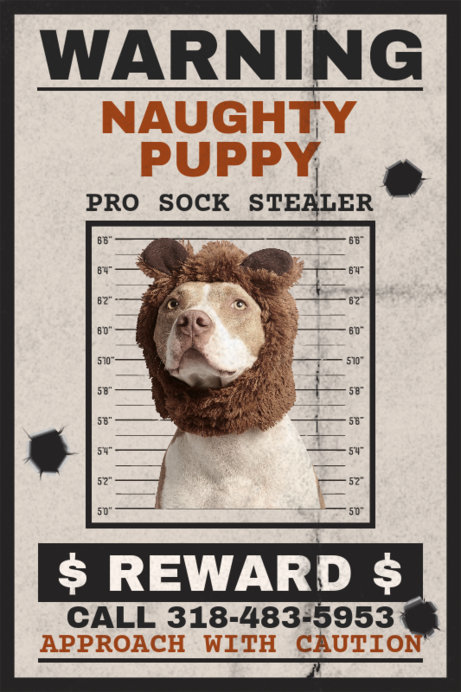 Wanted Poster | Design Templates | Placeit