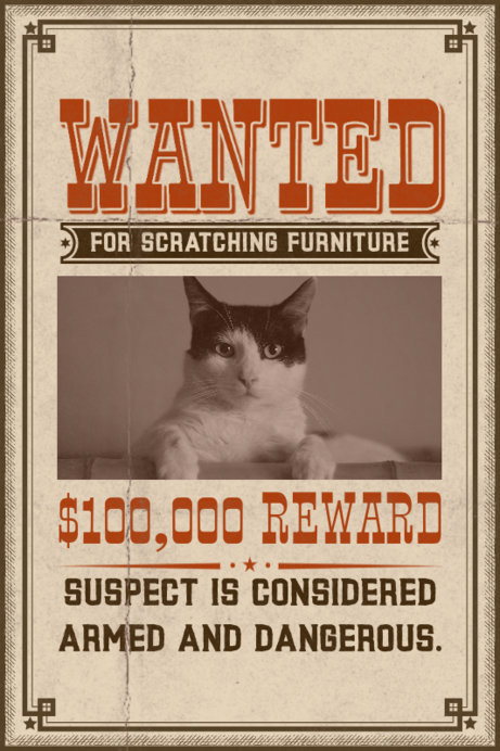 Placeit - Cat Poster Template Featuring a Western Most Wanted Theme
