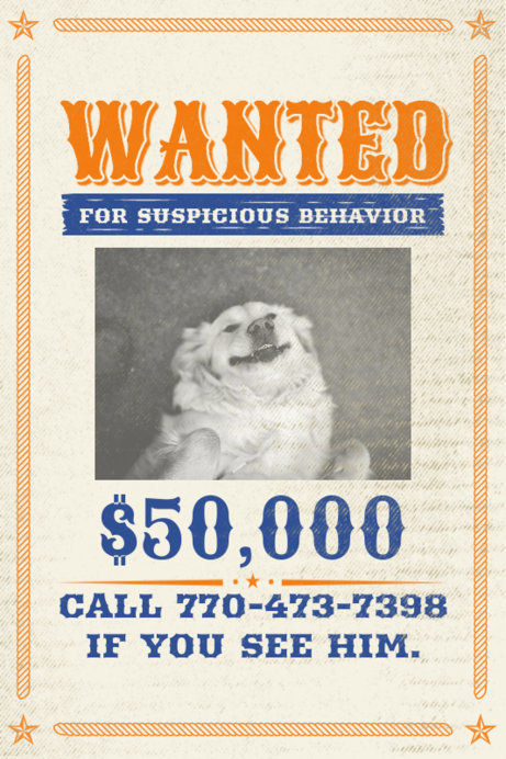 Placeit - Poster Maker Featuring a Funny Most Wanted Dog
