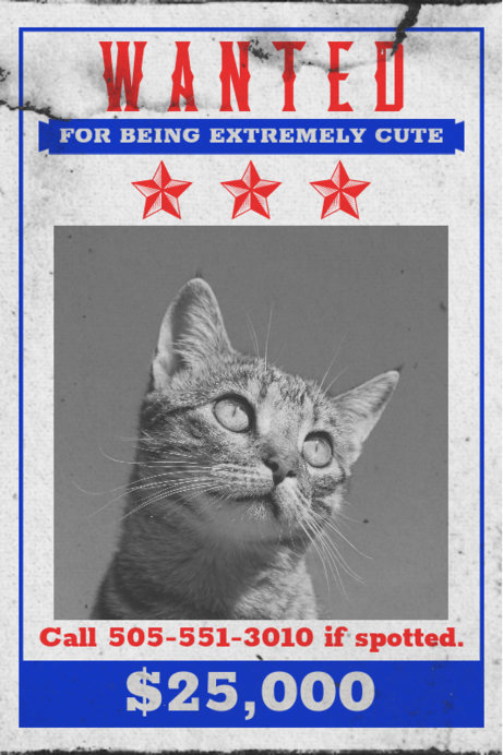 Wanted Poster | Design Templates | Placeit