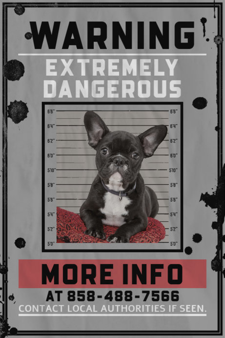 Placeit - Pet-Themed Poster Creator Featuring a Most Wanted Cute Dog