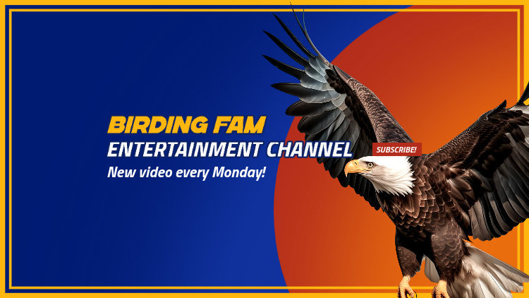 Placeit - YouTube Banner Template for a Birding-Themed Channel with an ...