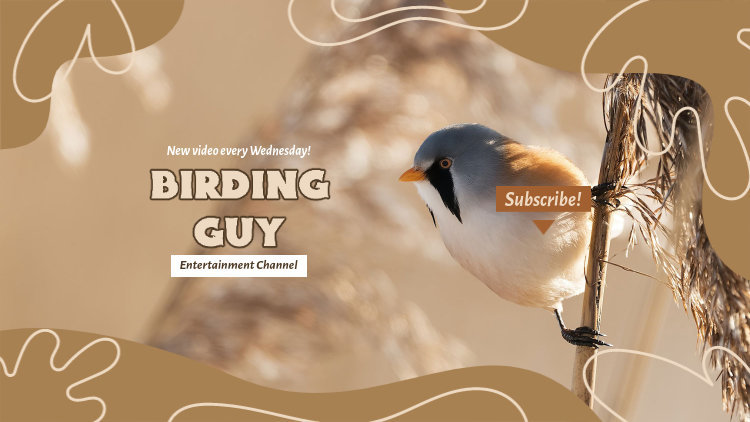 Placeit - YouTube Banner Design Creator for an Educational Birding Vlog