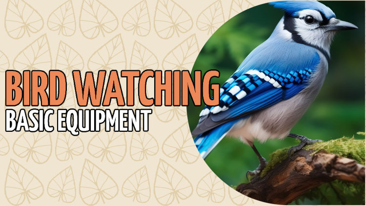 Placeit - YouTube Thumbnail Creator With Basic Equipment Ideas for Bird ...