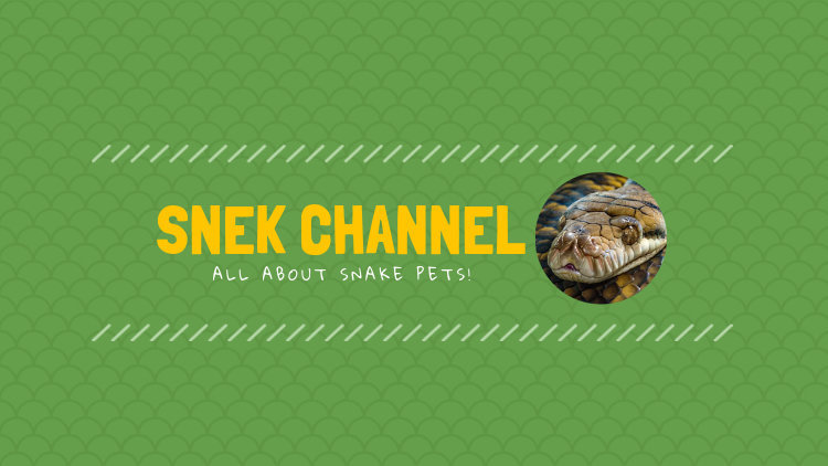 Placeit - YouTube Channel Art Maker with Snake Images