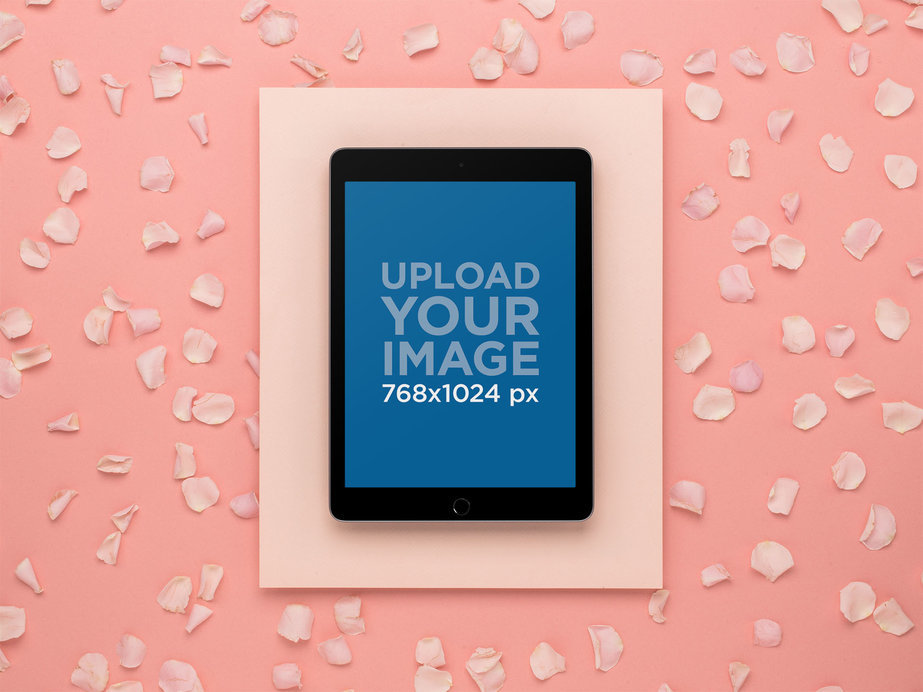 Placeit - Space Gray iPad Mockup in a Salmon Pink Studio Set
