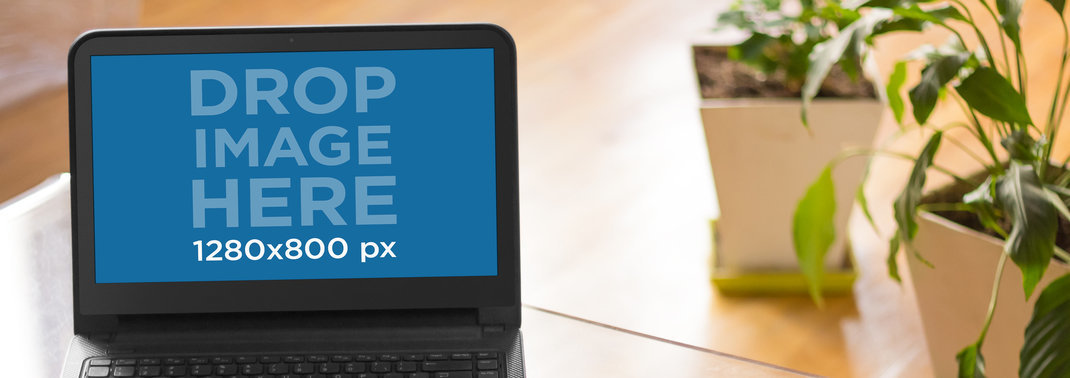 Desktop and Laptop Mockups | Mockup Generator | Placeit