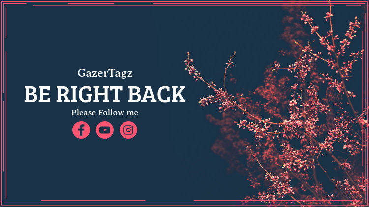 Placeit - Minimalistic Twitch Overlay Maker for a BRB Screen