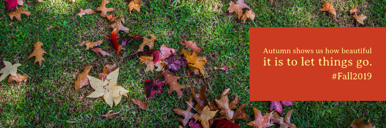 Placeit - Twitter Header Creator inspired in Autumn