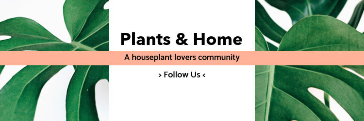 Placeit - Facebook Cover Template for a Minimalist Home Decor Page
