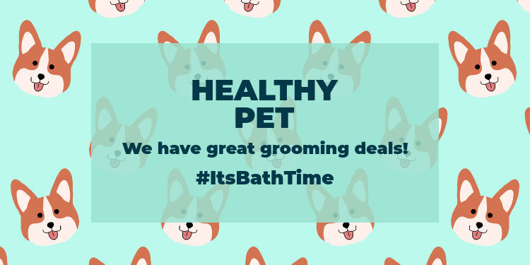 Placeit - Cute Twitter Header Template for a Pet Care Business