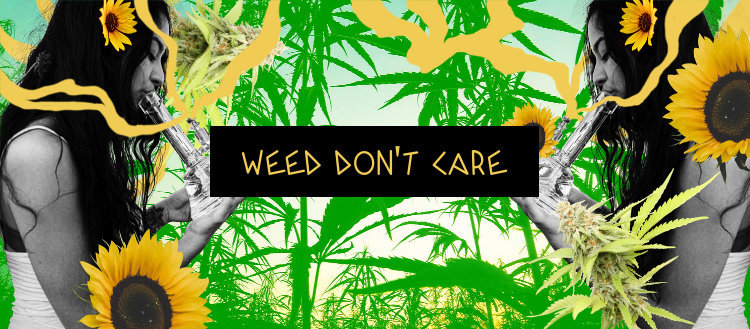 Placeit - Facebook Cover Maker Featuring a Marijuana Leaf-Filled Background