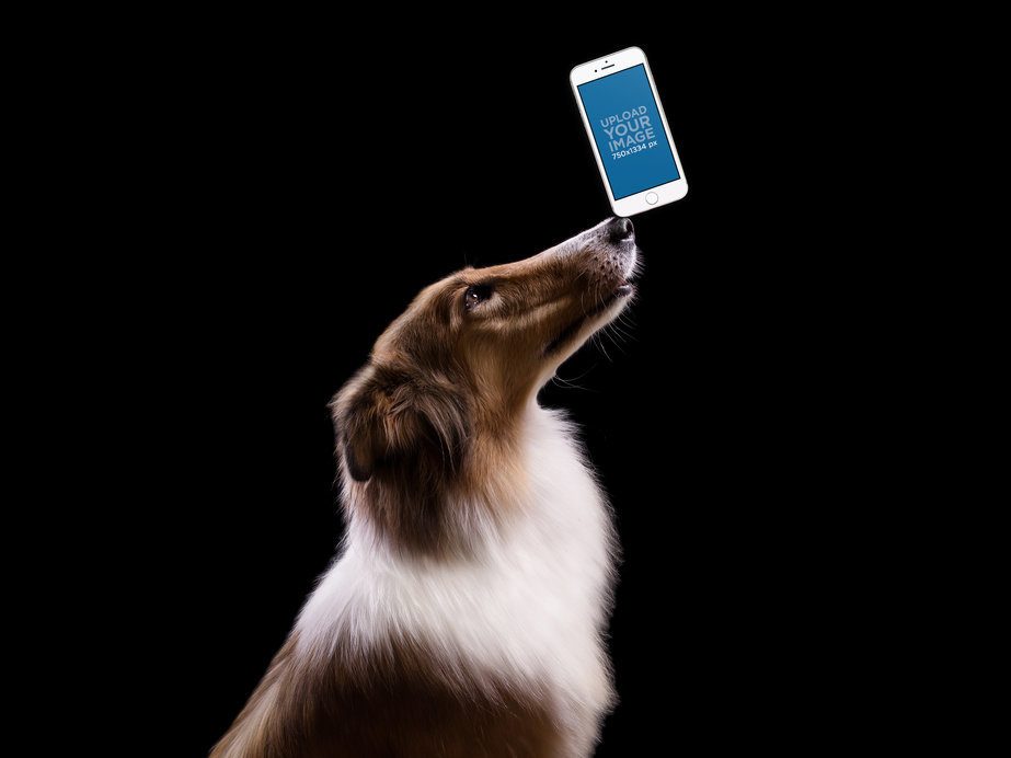 Placeit - mockup-of-a-dog-holding-an-iphone-in-portrait-position-