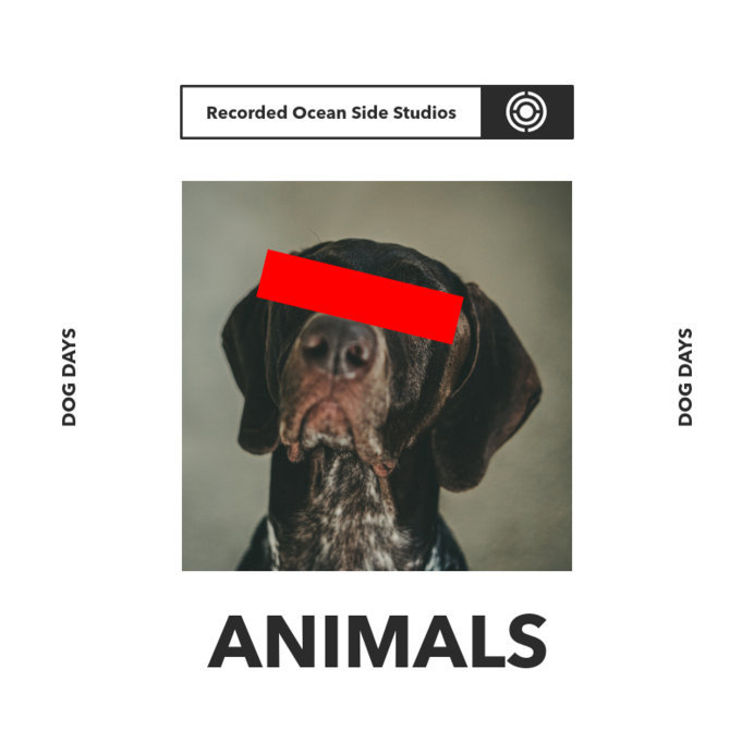 Placeit - Cover Generator for a Rock Band's Album